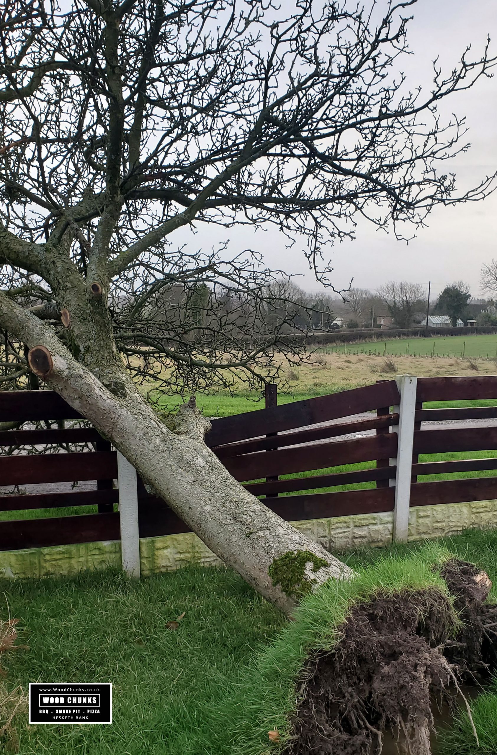 Apple Added - Wood Chunks